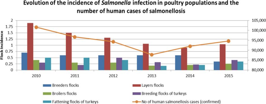 Salmonella in poultry: What are the most effective natural solutions ...