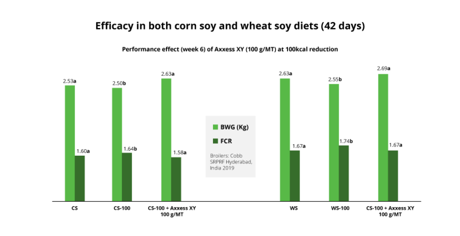 Xylanase solutions for broiler feed: Enzyme innovation finally hits the market - EW Nutrition
