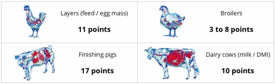 4 ways to cope with increased feed prices - EW Nutrition