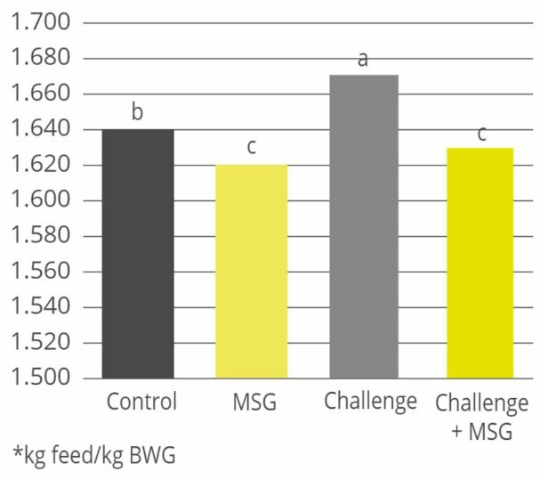 4 ways to cope with increased feed prices - EW Nutrition