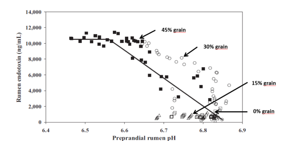 From sub-acute ruminal acidosis to endotoxins: Prevention for lactating ...
