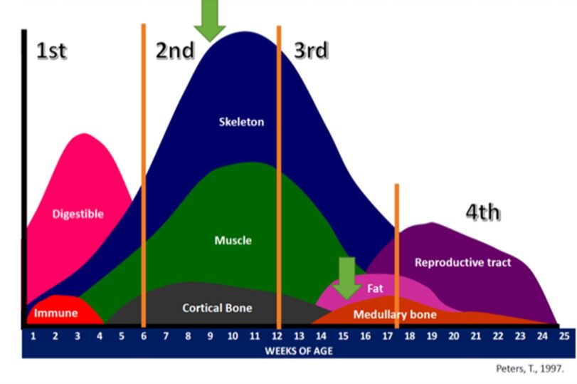 Coping with evolutions in the performance and nutritional requirements ...