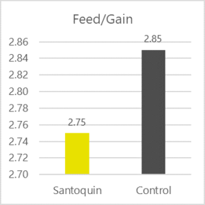 Rising feed costs? Focus on the FCR - EW Nutrition