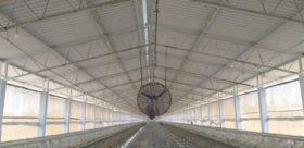 Housing and management strategies to mitigate heat stress in layers ...