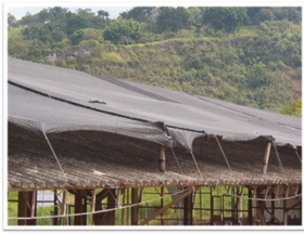 Housing and management strategies to mitigate heat stress in layers ...