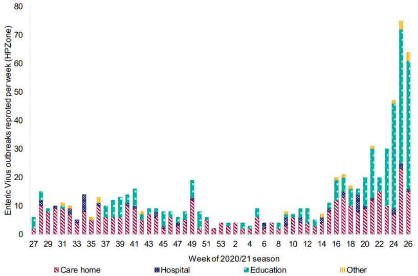 Norovirus outbreaks could be avoided with IgY technology - EW Nutrition