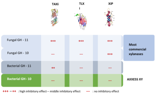 Overcoming Challenges of Xylanase Inhibitors in Animal Feeds - EW Nutrition