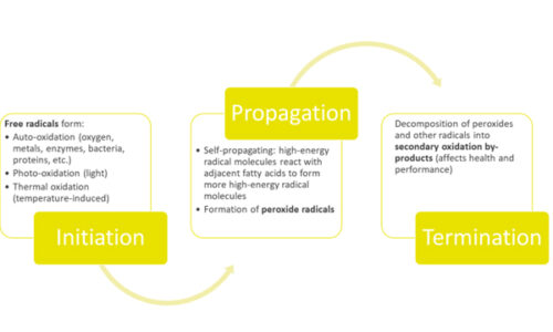Rancidity in fats and oils: Considerations for analytical testing - EW ...