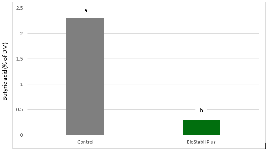 BioStabil Plus improves grass silage quality and cattle profitability ...