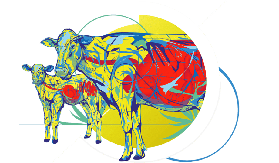 Ruminants - EW Nutrition