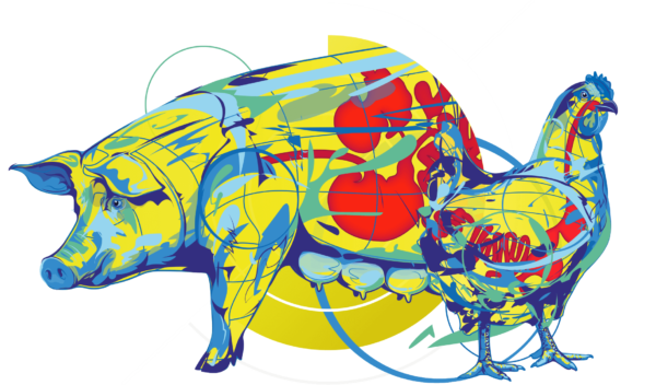 EW Nutrition - Functional innovations for animal nutrition