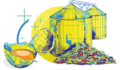 EW Nutrition - Functional innovations for animal nutrition
