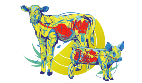 Young Animal Nutrition - EW Nutrition
