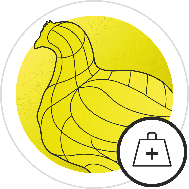 Poultry - EW Nutrition