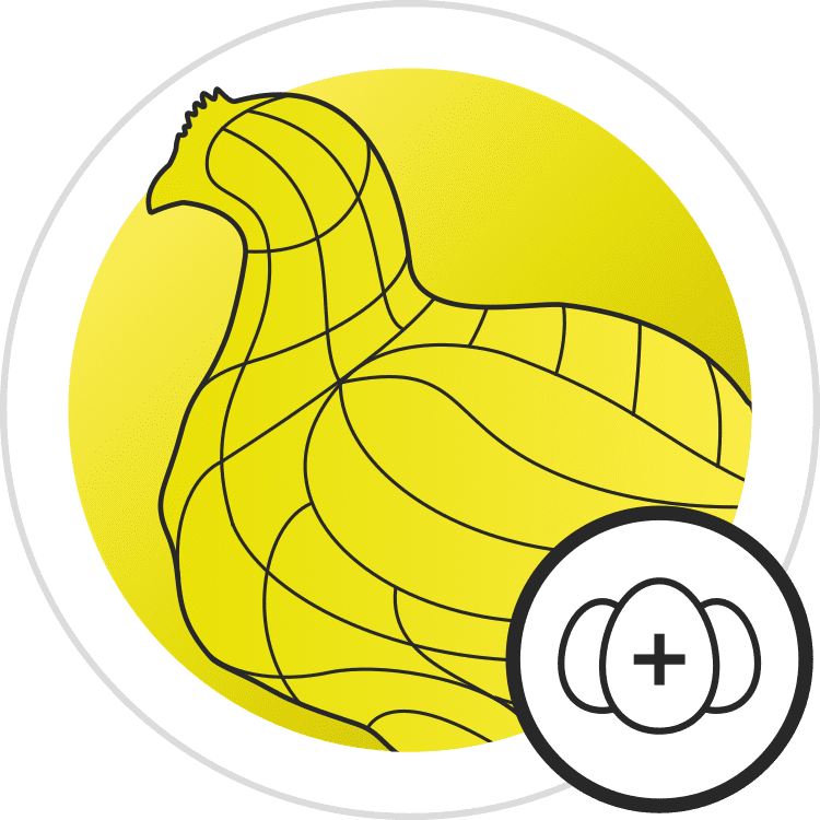 Poultry - EW Nutrition