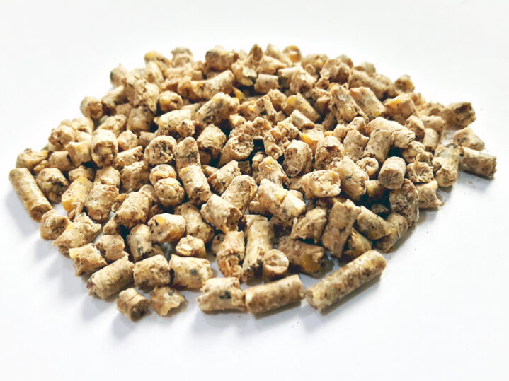 How animal nutrition can contribute to sustainability - EW Nutrition