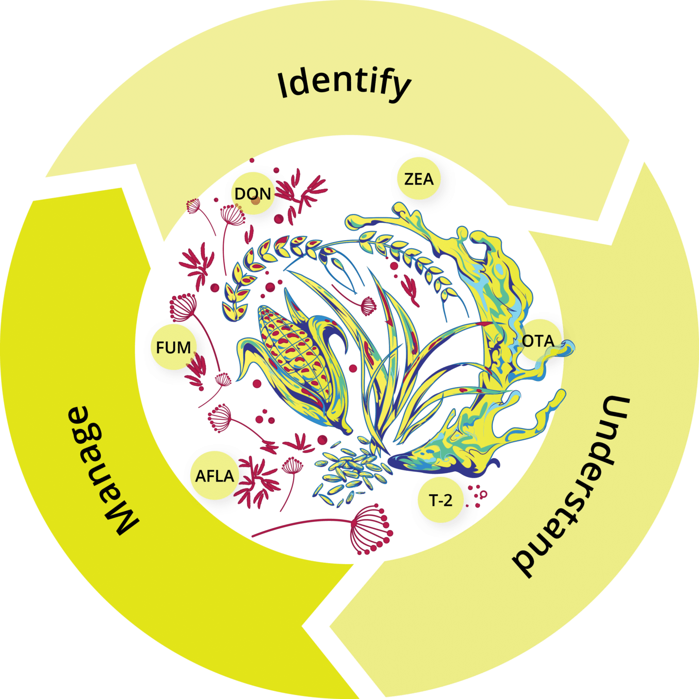 Toxin Risk Management - EW Nutrition